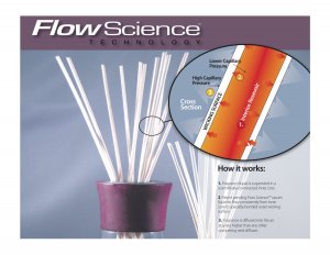 The No-Flip Reed Diffuser & How It Provides 30 Days Of Scent