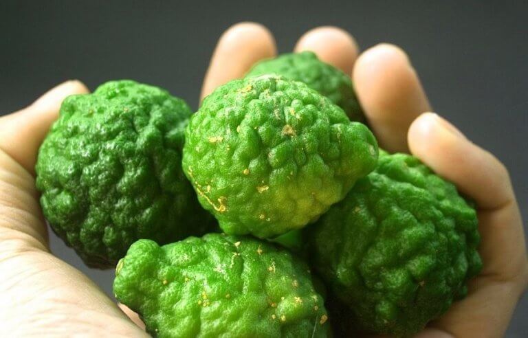 Bergamot - The Key Top Note Ingredient Within Fragrances
