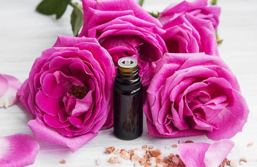The Ultimate Perfumer’s Guide To Rose Essential Oils