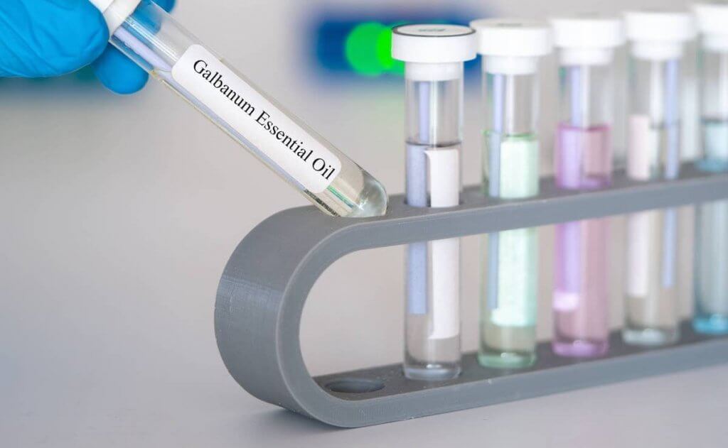 Galbanum And Its Mysteriously Woody Aromatic Notes